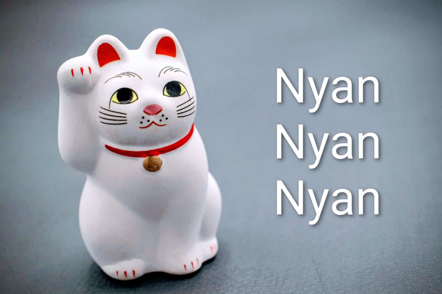Japan’s Nyan-Nyan-Nyan Day - INFOHOSTELS.com